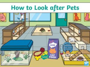 How to look after pets - St Philip Westbrook C of E Primary School